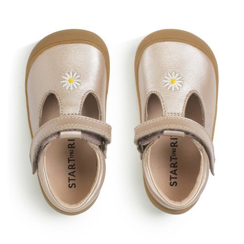 Start-Rite: Floret - Taupe Pearlised Leather Daisy – Acorn & Pip