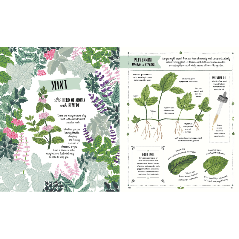 Grow: A First Guide to Plants – Acorn & Pip